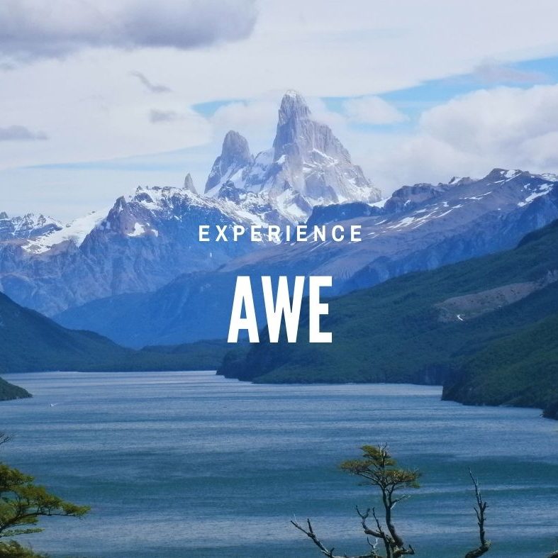 Experience Awe - Cut Lunch Adventures