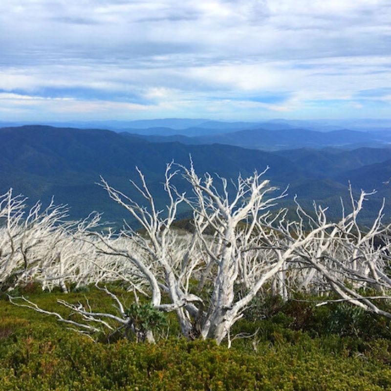 Mt Kosciuszko The Hard Way - Hannels Spur - Cut Lunch Adventures